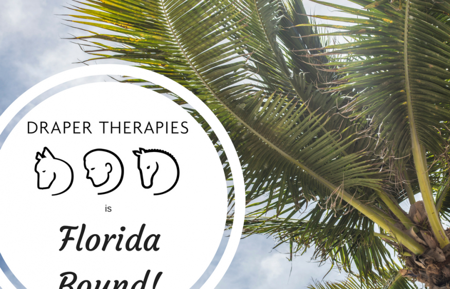 Florida Bound! - Draper Therapies